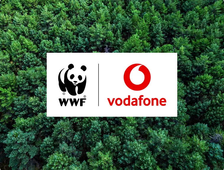 Everyone connected | Planeta noastra